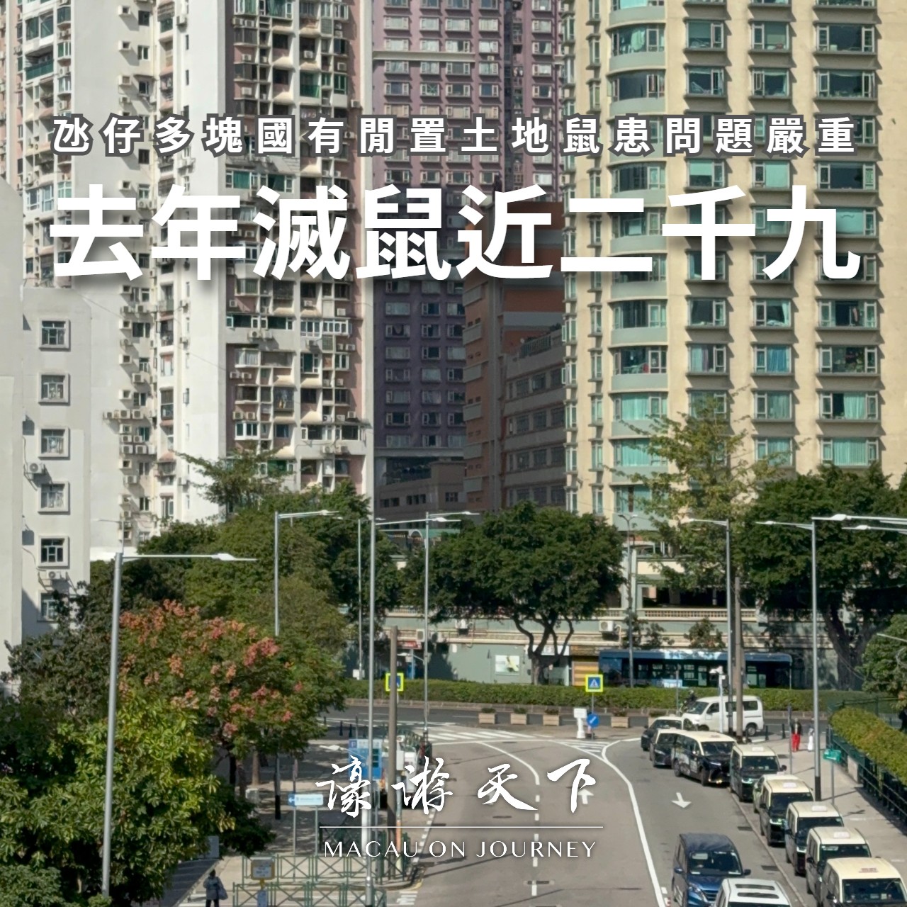 氹仔多塊國有閒置土地鼠患問題嚴重 去年滅鼠近二千九 | 濠遊天下 Macau on Journey,